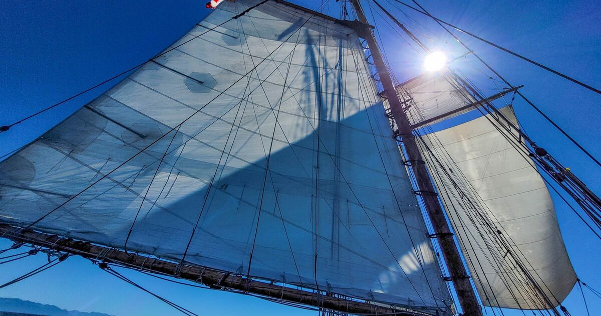 SALTS Sail and Life Training Society - 2025-Family-Sails